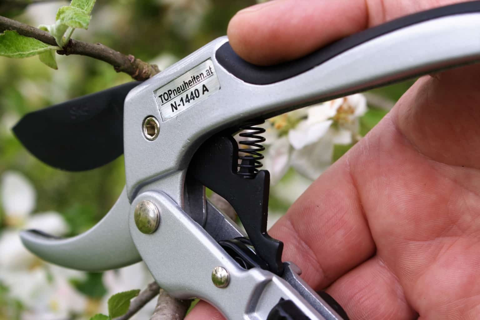 Gartenschere Mit Ubersetzung